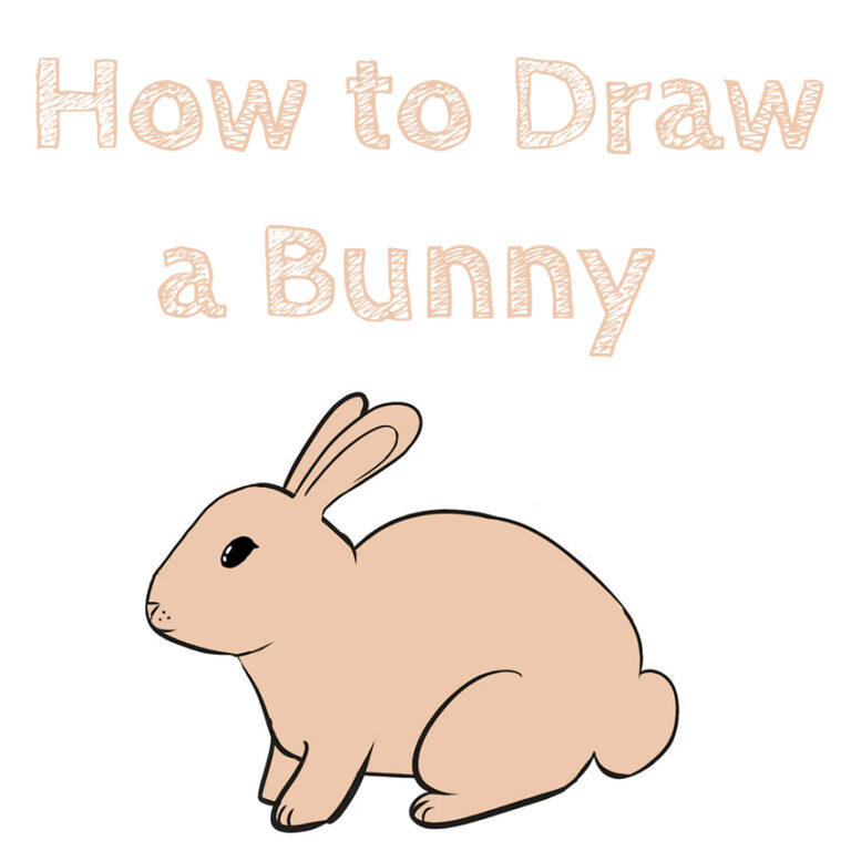 How to Draw a Bunny - How to Draw Easy