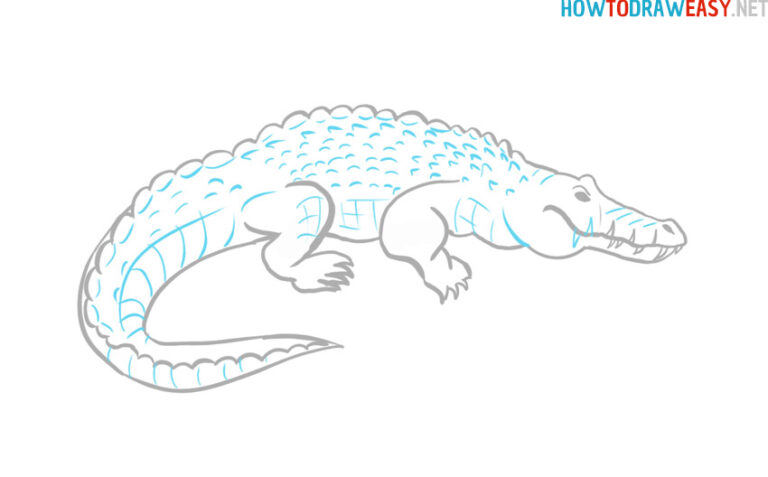 How to Draw a Crocodile - How to Draw Easy