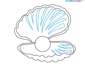 How to Draw an Oyster with a Pearl - How to Draw Easy