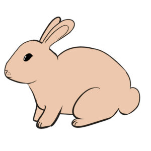 How to Draw a Bunny - How to Draw Easy