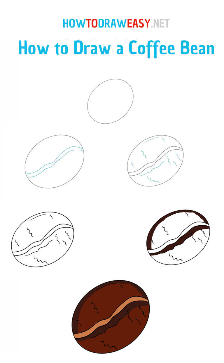 How to Draw an Easy Coffee Bean - How to Draw Easy