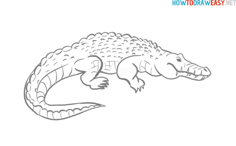 How to Draw a Crocodile - How to Draw Easy