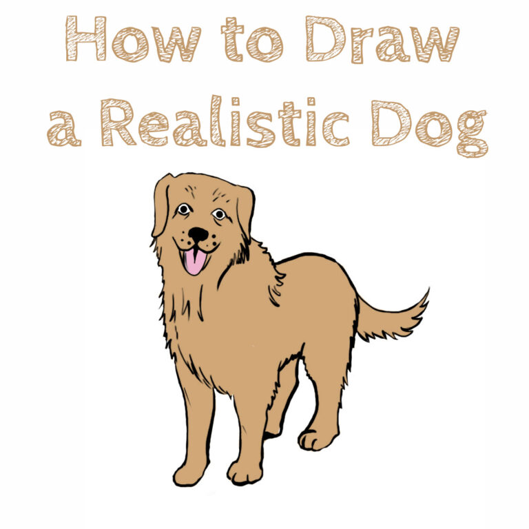 How to Draw a Realistic Dog - How to Draw Easy