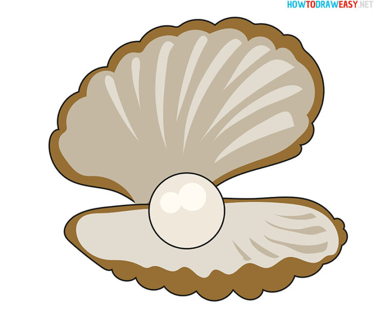 How to Draw an Oyster with a Pearl - How to Draw Easy