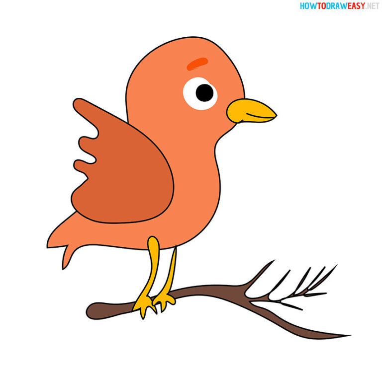 How to Draw a Baby Bird - How to Draw Easy