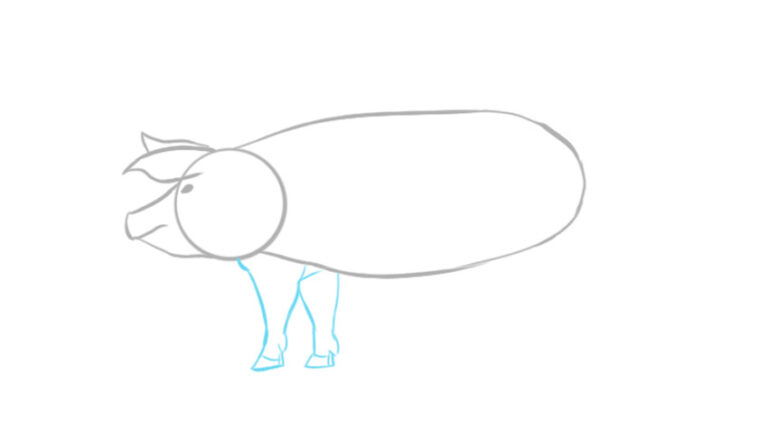 How to Draw a Pig - How to Draw Easy