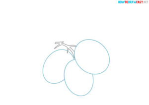 How to Draw an Olive - How to Draw Easy