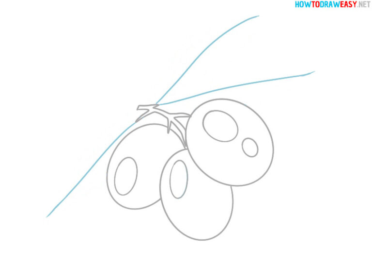 How to Draw an Olive - How to Draw Easy