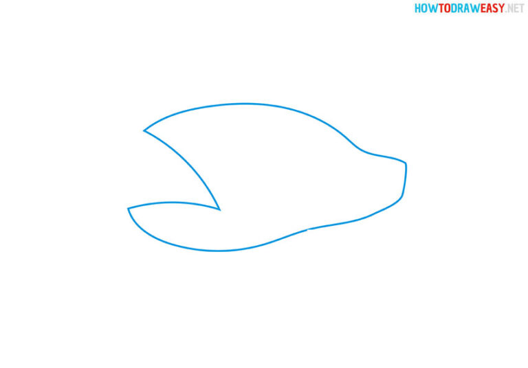 How to Draw an Angler Fish - How to Draw Easy