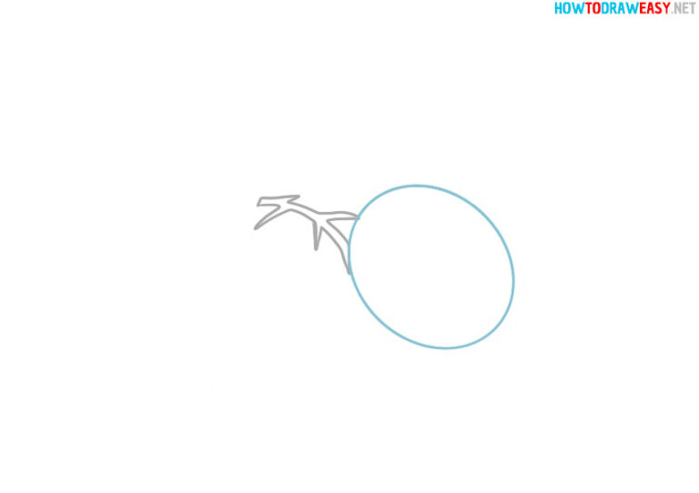 How to Draw an Olive - How to Draw Easy