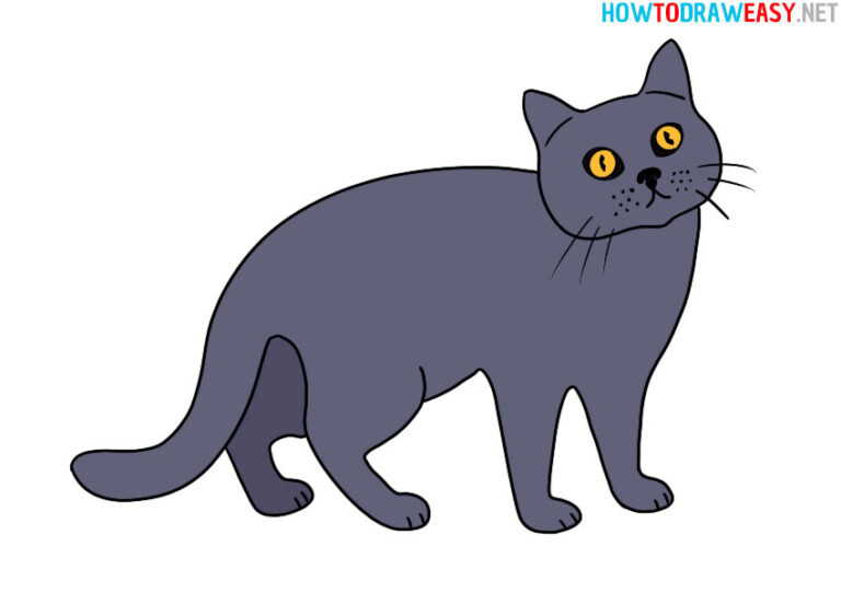 How to Draw a Black Cat - How to Draw Easy