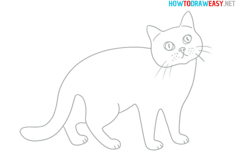 How to Draw a Black Cat - How to Draw Easy