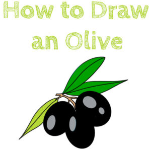 Plants and Trees Archives - Page 2 of 2 - How to Draw Easy