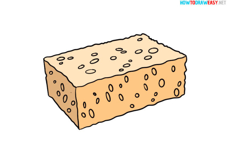 How to Draw a Sponge - How to Draw Easy