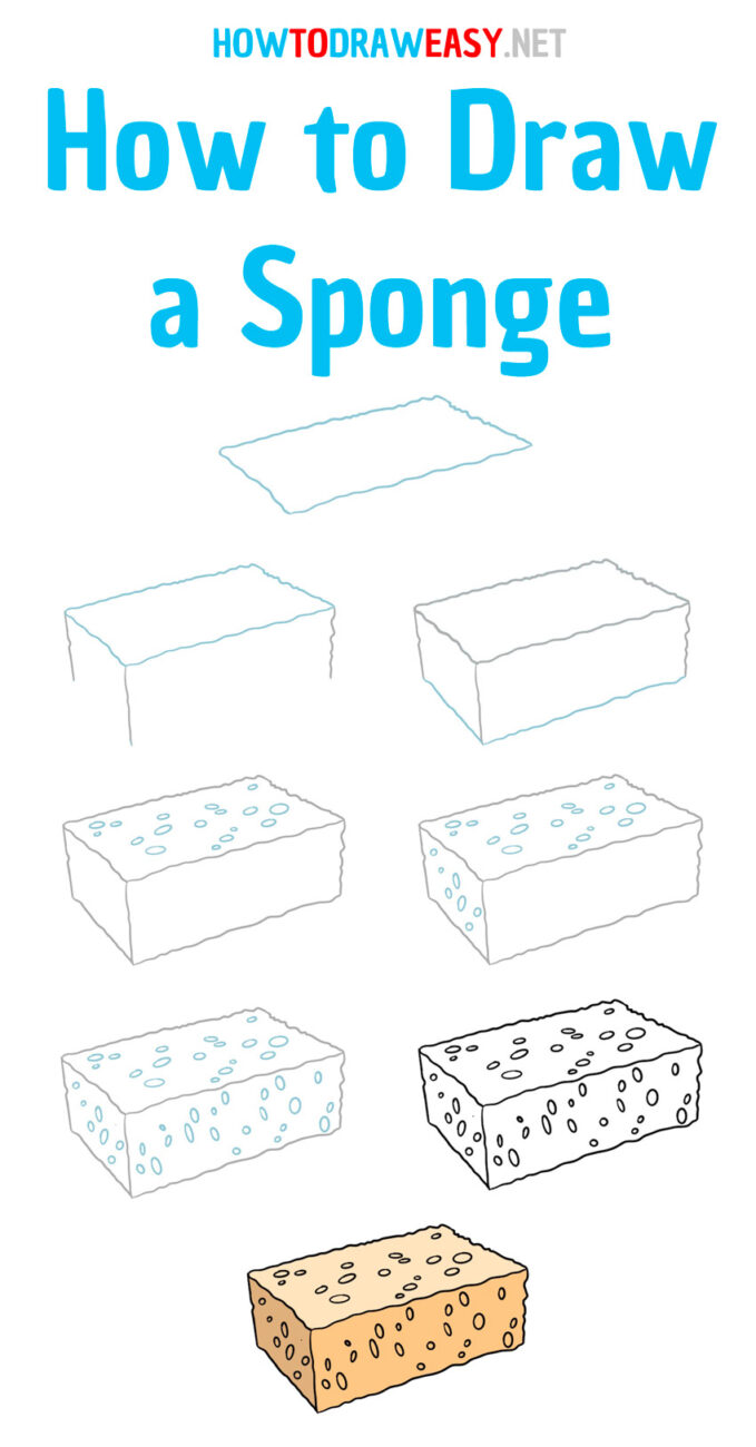 How to Draw a Sponge - How to Draw Easy