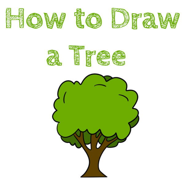 How to Draw a Tree - How to Draw Easy