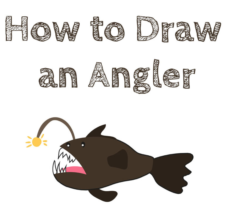 How to Draw an Angler Fish - How to Draw Easy