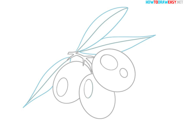 How to Draw an Olive - How to Draw Easy