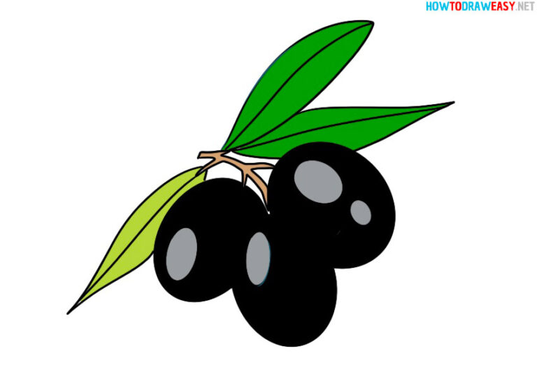 How to Draw an Olive - How to Draw Easy