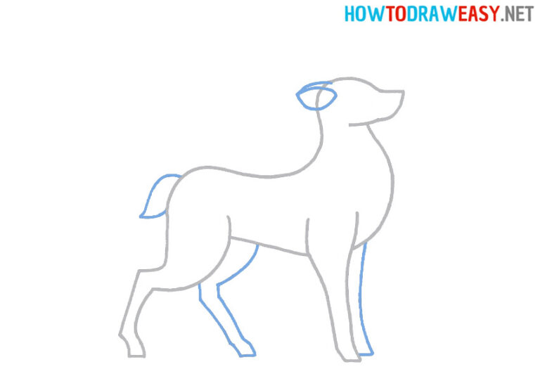 How to Draw a Deer for Kids - How to Draw Easy