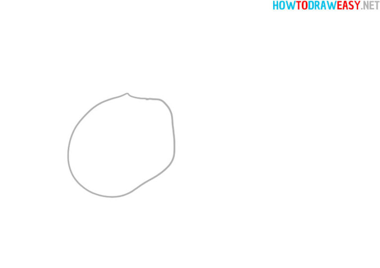 How to Draw a Coconut - How to Draw Easy