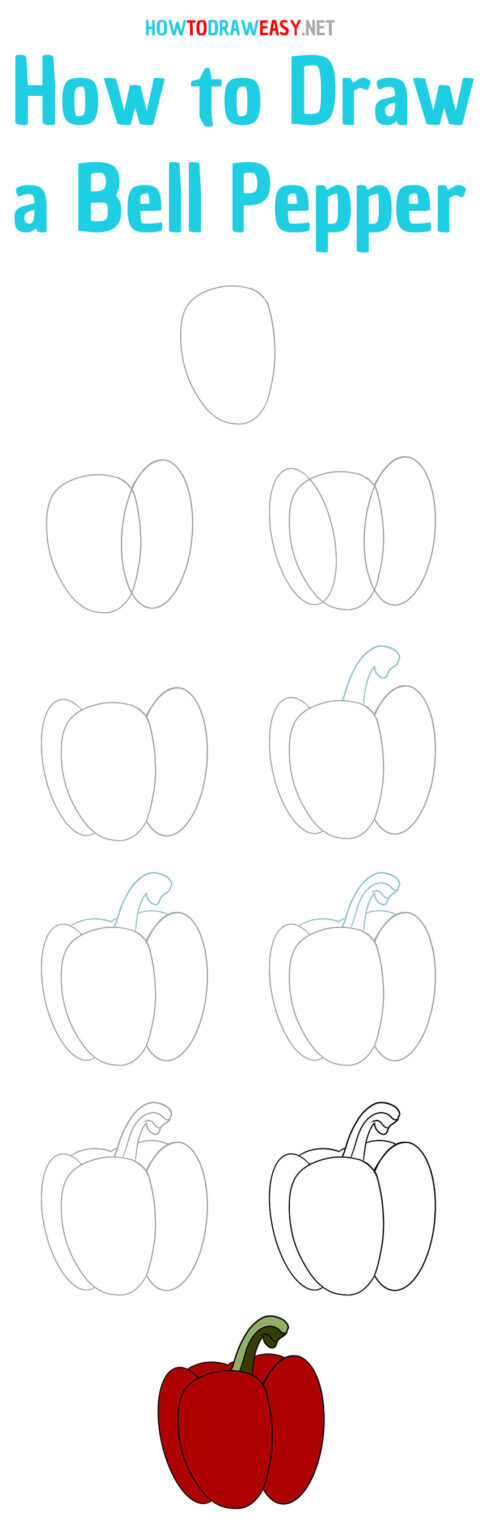 How to Draw a Bell Pepper - How to Draw Easy