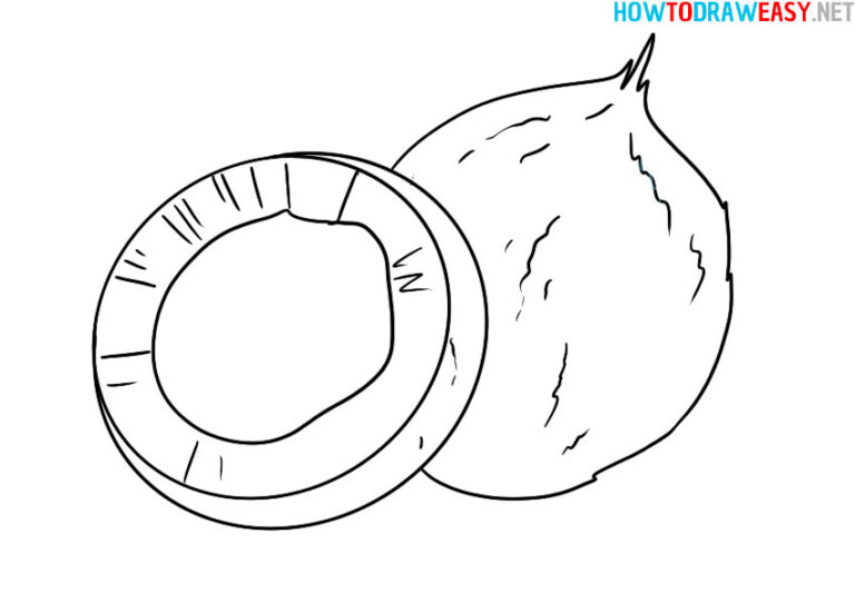 How to Draw a Coconut - How to Draw Easy