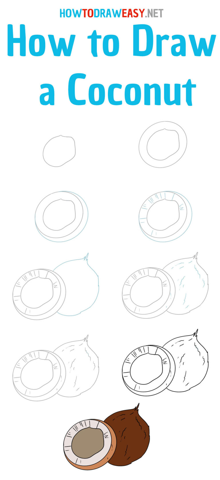 How To Draw A Coconut How To Draw Easy