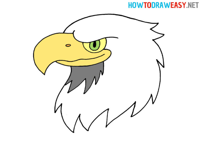 How to Draw a Bald Eagle for Kids - How to Draw Easy