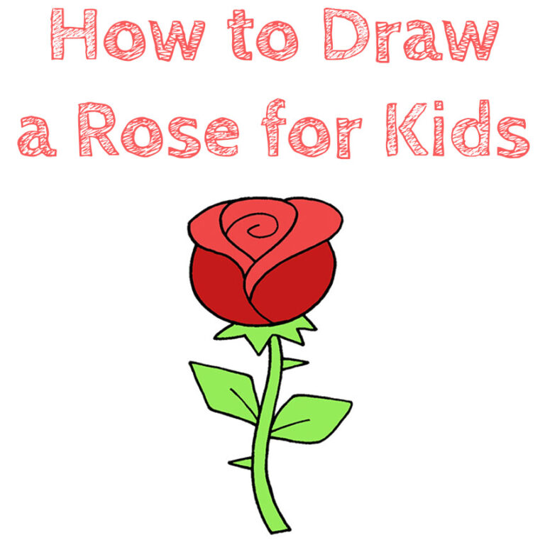How to Draw a Rose for Kids - How to Draw Easy
