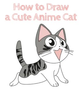 How to Draw a Cute Anime Cat - How to Draw Easy