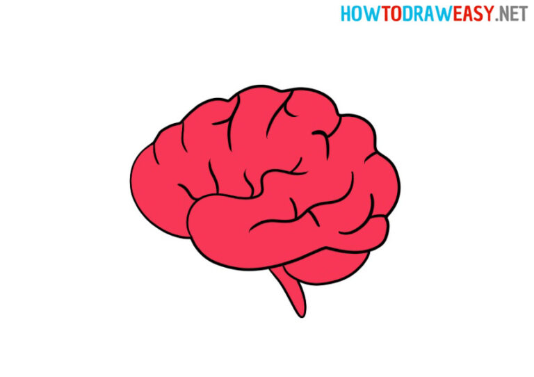 How to Draw a Brain Easy - How to Draw Easy