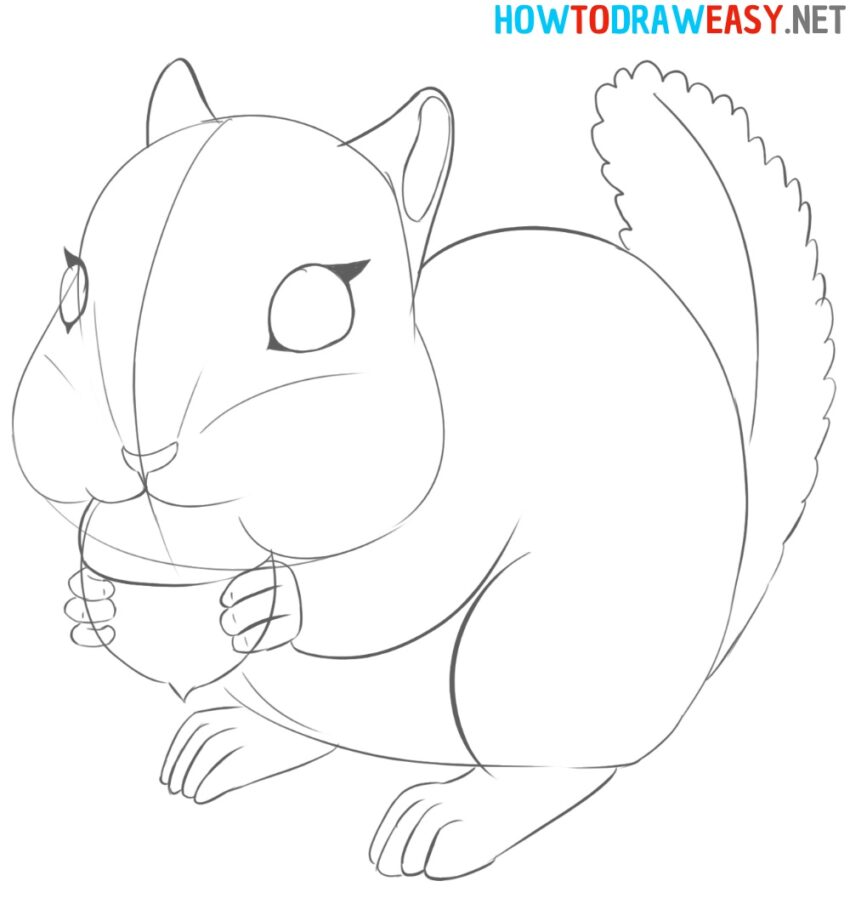 How to Draw a Squirrel - How to Draw Easy