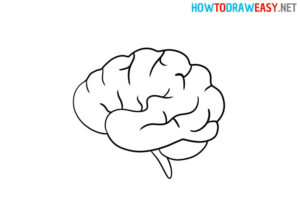 How to Draw a Brain Easy - How to Draw Easy