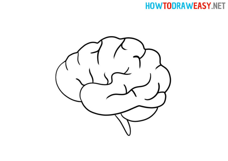How to Draw a Brain Easy - How to Draw Easy