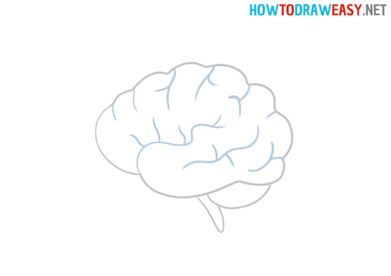 How to Draw a Brain Easy - How to Draw Easy