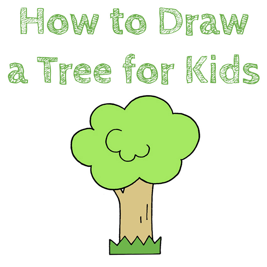  How To Draw A Tree For Kids How To Draw Easy