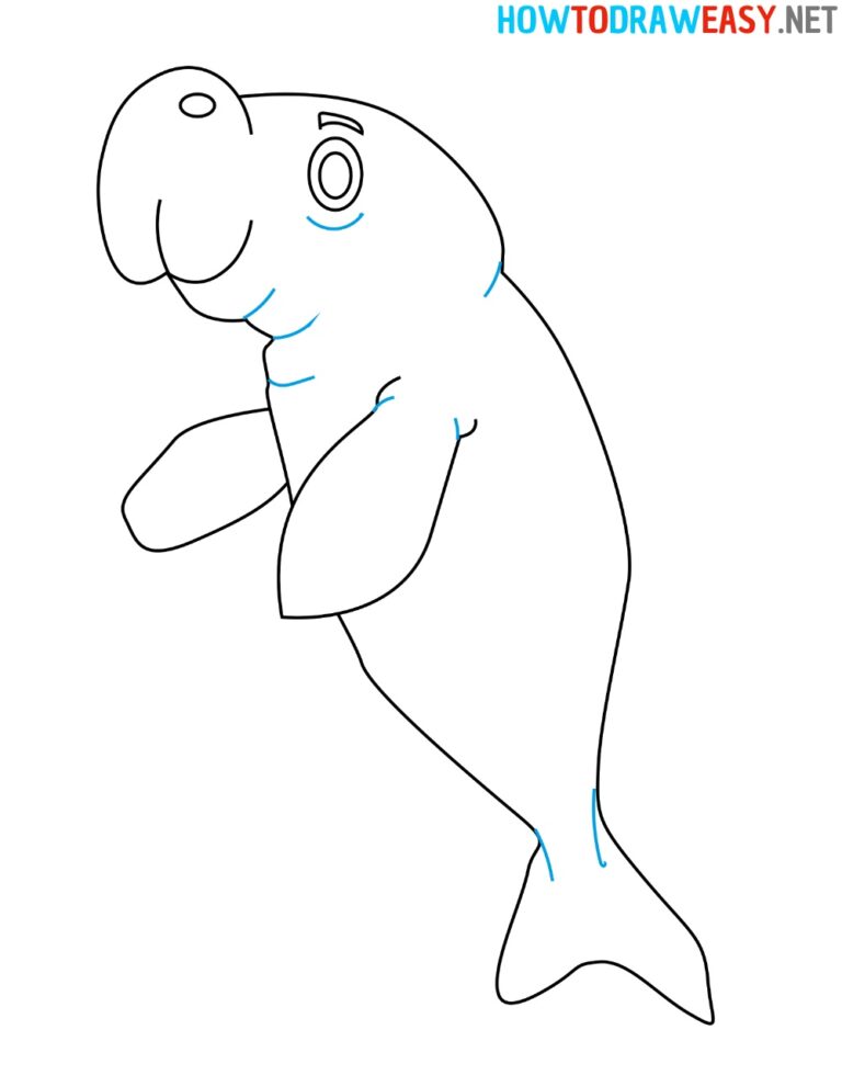 How to Draw a Manatee - How to Draw Easy