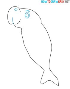 How to Draw a Manatee - How to Draw Easy