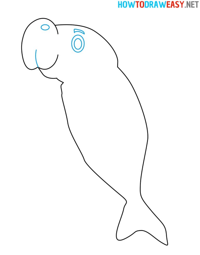 How to Draw a Manatee - How to Draw Easy