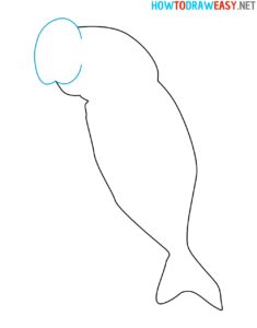 How to Draw a Manatee - How to Draw Easy