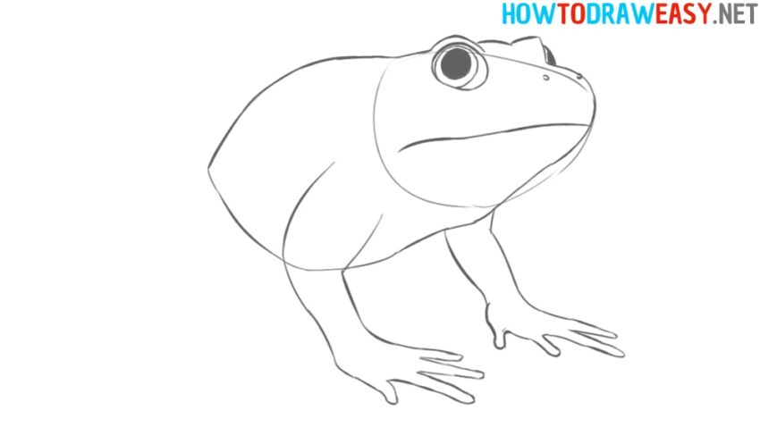 How to Draw a Frog - How to Draw Easy
