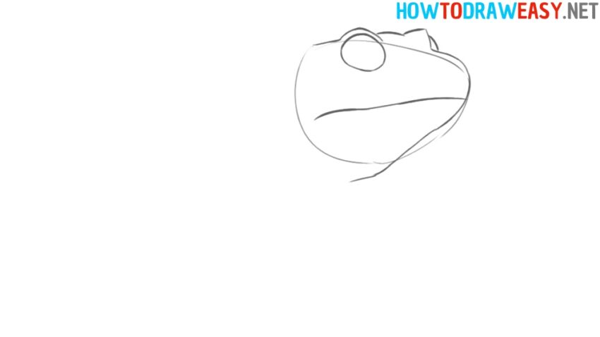 How to Draw a Frog - How to Draw Easy