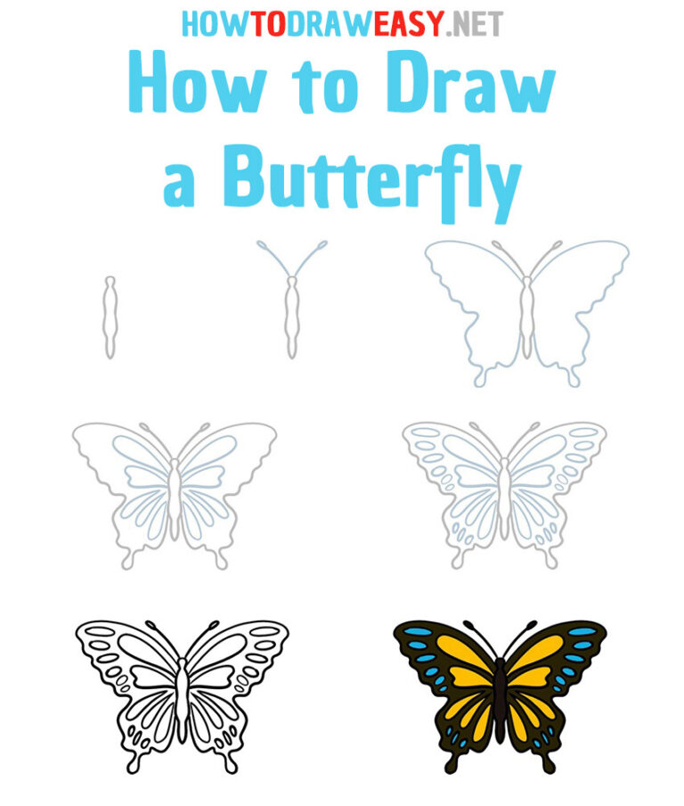 How to Draw a Butterfly Easy - How to Draw Easy