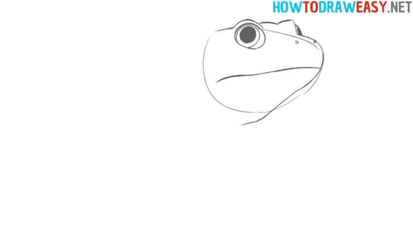 How to Draw a Frog - How to Draw Easy