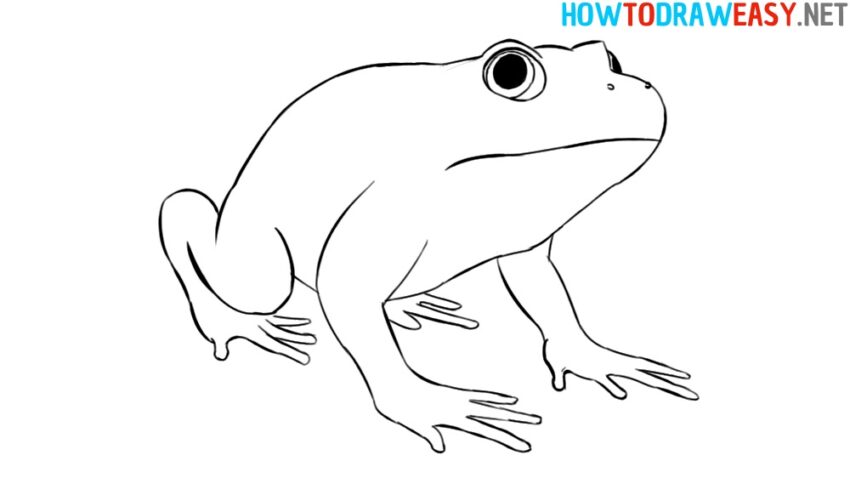 How to Draw a Frog - How to Draw Easy