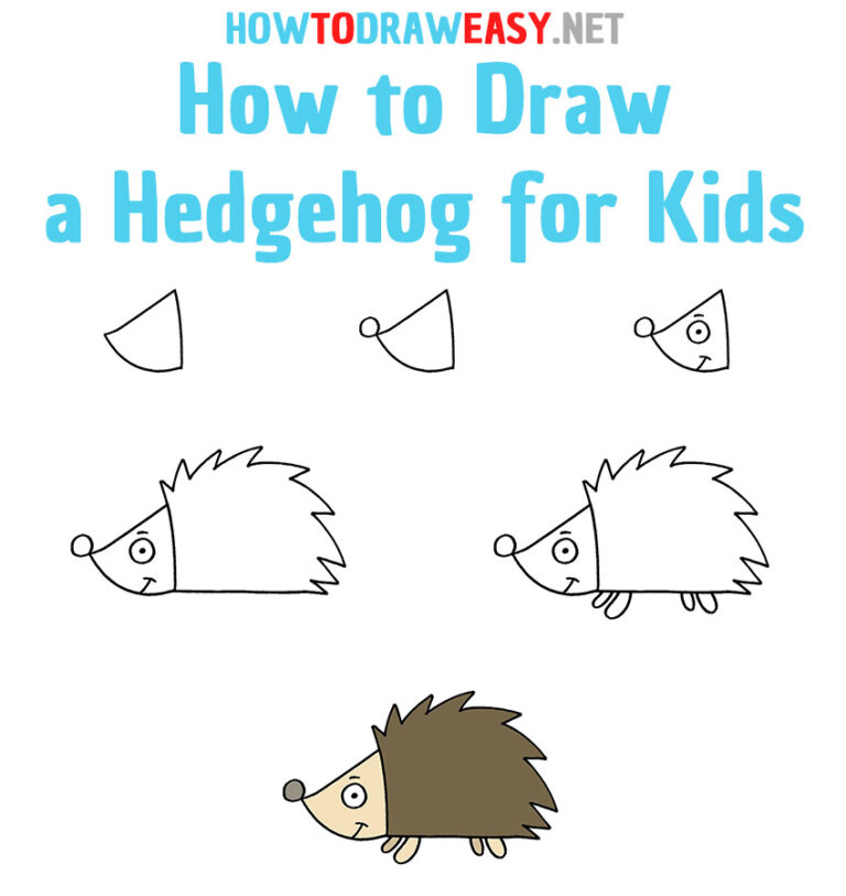 How to Draw a Hedgehog for Kids - How to Draw Easy