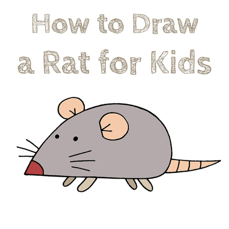 How to Draw a Rat for Kids - How to Draw Easy