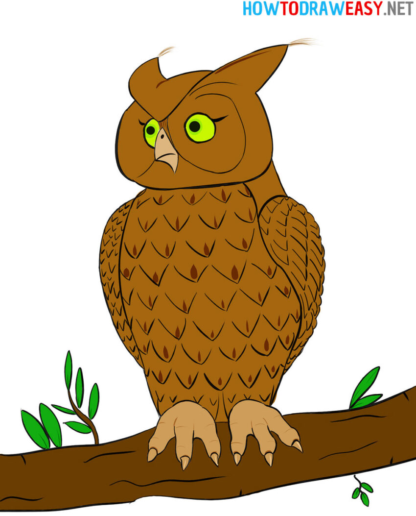 How to Draw an Owl - How to Draw Easy