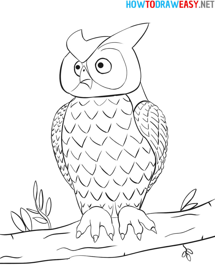 How to Draw an Owl - How to Draw Easy